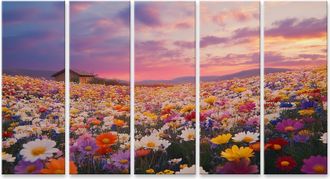 Islandburner Bild auf Leinwand Blumenwiese bei Sonnenuntergang Bilder Wandbilder Poster