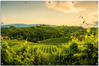 Wallario Outdoor-Poster f&uuml;r Garten oder Balkon Abendlicht &uuml;ber Weinbergen, Motivbanner Gr&ouml;&szlig;e: ca. 120 x 180 cm, Outdoor-Bild