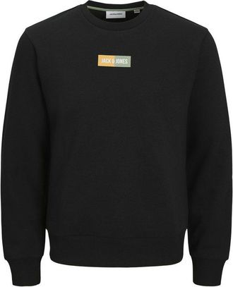 Jack & Jones Sweater JJPAN SWEAT CREW NECK