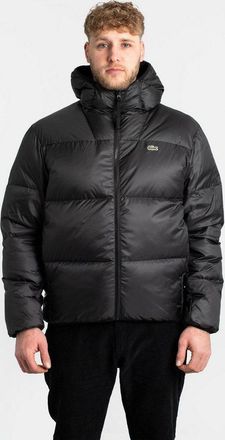 Lacoste Daunenjacke Lacoste Puffer Down Jacket
