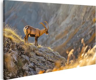 Islandburner Bild auf Leinwand EIN Steinbock Steht majestätisch auf einem felsigen Berghang Bilder Wandbilder Poster