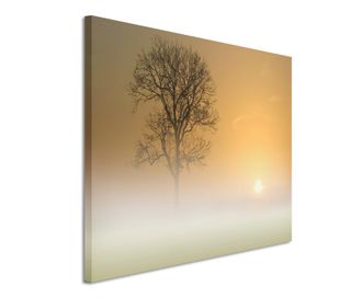 Paul Sinus Art Kunstfoto auf Leinwand 60x40cm Landschaftsfotografie - Nebelige Landschaft bei Sonnenaufgang auf Leinwand exklusives Wandbild moderne Fotografie für i