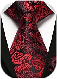 Hisdern Cravate Rouge Noir Homme Paisley Mariage Cravates et Pochette Set Floral Ensemble