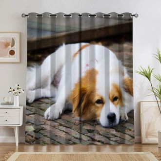 Generic Verdunkelungsvorhang Charmant Thermovorhang K&auml;lteschutz Hund Blickdicht &Ouml;senschal f&uuml;r Gardinen Wohnzimmer & Schlafzimmer H 260 x B 300 cm 2er Set b816