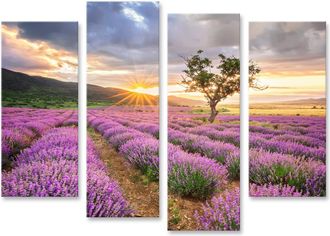 Islandburner Bild Bilder auf Leinwand atemberaubende Landschaft mit Lavendelfeld bei Sonnenaufgang Wandbild, Poster, Leinwandbild NCM