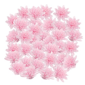Lurrose 100 St&uuml;ck 100 teiliges Diffuser Chrysanthemen aus PE Aromatherapie Zubeh&ouml;r f&uuml;r &Auml;therische &Ouml;le Schnell Absorbierende Duftdekorationen f&uuml;r Wohnzimmer B&uuml;