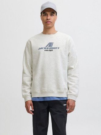 Jack & Jones Sweatshirt JCOTIER PRINT SWEAT CREW NECK