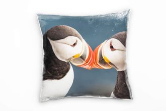 Paul Sinus Art Tiere, kuschende Puffins, schwarz, wei&szlig;, orange Deko Kissen 40x40cm f&uuml;r Couch Sofa Lounge Zierkissen - Dekoration zum Wohlf&uuml;hlen