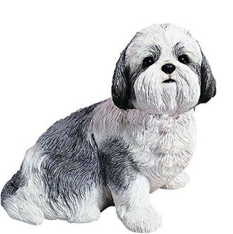 Sandicast Shih Tzu Figur lebensgross sitzend silber weiss