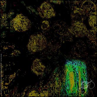 Rosemary Goodenough Mad Red Flowers VIII Silk Scarf