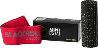 BLACKROLL MINI GYM