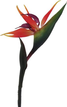 Gasper Kunstpflanze Strelitzie in der Farbe: Rot, H&ouml;he: 83 cm, 3016281-00