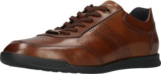Salamander Sneaker