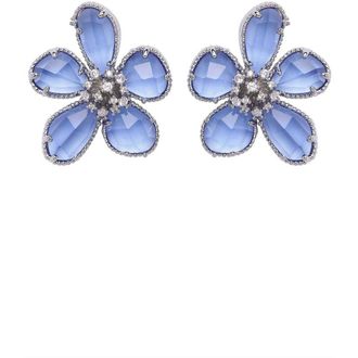 Avant-Garde Paris Hedwigia