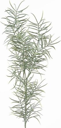 Artificielles Asparagus Zweig H&ouml;he 70 cm