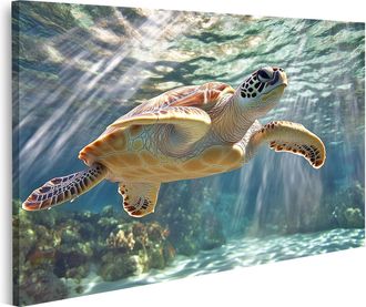 Islandburner Bild auf Leinwand Meeresschildkr&ouml;te Unter Wasser Schwimmend Bilder Wandbilder Poster