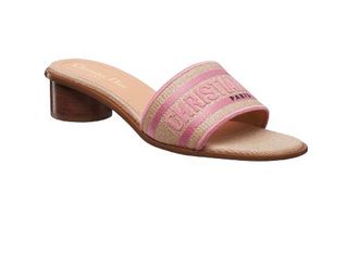 Dior Dway Heeled Slide