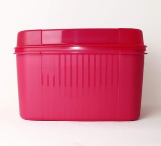 Tupperware XXL- Naschkatze Neue Trendfarbe! Picknick-Box + Kugelschreiber
