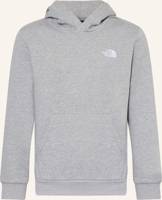 The North Face Hoodie Teen Evolution grau