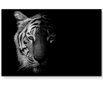 Paul Sinus Art Leinwandbilder | Bilder Leinwand 120x80cm Portrait Tiger schwarz/weiß