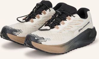 Salomon Trailrunning-Schuhe Aero Blaze 4 Grvl Gtx beige