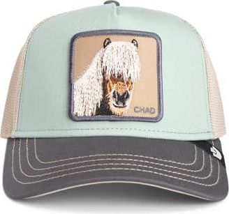 Goorin Brothers Casquette de camionneur tricolore Cheval Multicolore Taille unique
