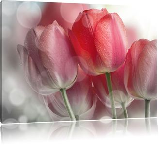 Pixxprint Wunderschöne Tulpen, Größe: 120x80cm, Leinwandbild, fertig gespannt, Wandbild, Dekoration, Kunstdruck, kein Poster