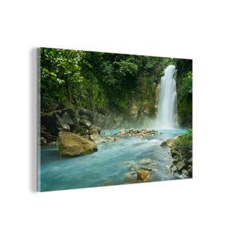 MuchoWow Glasbild Glasfoto Wandbild Bilder Deko 150x100 cm Dschungel - Natur - Wasserfall