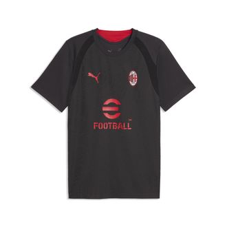 Puma Maillot dentra&icirc;nement slim AC Milan Homme, Accessoires, Gris, 3XL