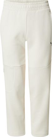 Puma Hose Pumatech