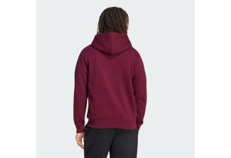 adidas Originals Hoodie TREFOIL ESSENTIALS HOODIE (1-tlg)