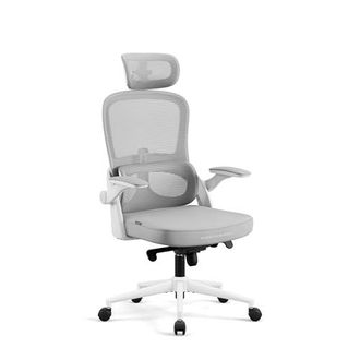 Diablo Chaise de Bureau Ergonomique Gris Clair Dossier Respirant Soutien Lombaire R&eacute;glable Appui T&ecirc;te Accoudoirs 3D M&eacute;canisme Basculant Charge 110 kg