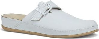 Vital Monte, Blanc., 49 EU