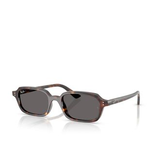 Ray-Ban unisex, Accessoires, Brun, Taille: 49 MM Lunettes de soleil modernes RB 4455 style