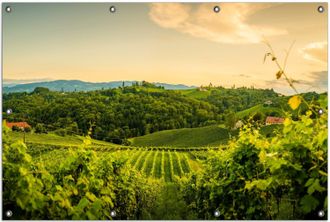 Wallario Outdoor-Poster f&uuml;r Garten oder Balkon Abendlicht &uuml;ber Weinbergen, Motivbanner Gr&ouml;&szlig;e: ca. 100 x 150 cm, Outdoor-Bild