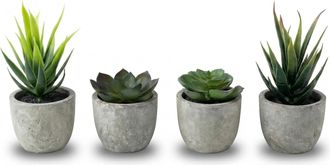 Nala 4er Set K&uuml;nstliche Pflanzen Sukkulenten, Beton Optik, 6cm x 7cm-14cm, Gr&uuml;n 1, Schreibtisch Deko, Badezimmer, Kunstblumen Wie Echt, Balkon, Kunstpflanz
