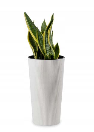 HowHomely Blumentopf Gross Hoch 47 cm mit Pflanzk&uuml;bel Einsatz 26 cm Durchmesser - Wei&szlig; Pflanzk&uuml;bel Gro&szlig; aus Kunststoff f&uuml;r Deko Wohnzimmer Garten oder Terrasse