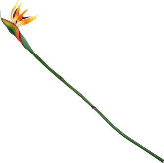 Amosfun K&uuml;nstliche Strelitzienbl&uuml;te Aus Kunststoff Realistische Paradiesvogelblume Als Dekoration F&uuml;r Innenr&auml;ume Hochzeiten Vasen Und Festliche Anl&auml;sse