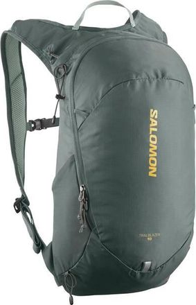 Salomon Kleintasche TRAILBLAZER 10 Urban Chic/GREEN MILIEU
