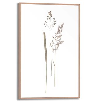 Reinders Gerahmtes Bild, Dried Flowers, Wohnzimmer, Poster, Wanddeko, Room Decor, MDF, Beige, 30x20cm