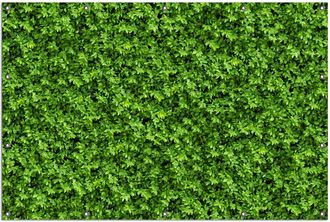 Wallario Outdoor-Poster f&uuml;r Garten oder Balkon Gr&uuml;ne Hecke, Motivbanner Gr&ouml;&szlig;e: ca. 120 x 180 cm, Outdoor-Bild