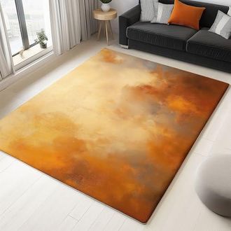 Generic Tapis Salon Fum&eacute;e Brune et Orange Tapis Poils Courts Flanelle Moelleux &agrave; Doux, 80 x 150 cm Moquette antid&eacute;rapant Lavable pour Chambre Decoration - Ent