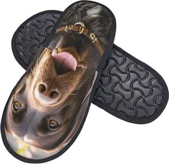 Generic Chaussons Femme Homme Labrador Retriever Brun Chaussons Lavable Confort Pantoufle Homme, Pour Intérieur Extérieur, Femmes, Hommes, L