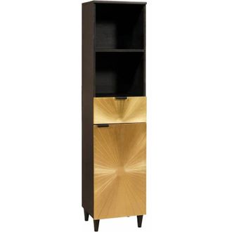 vidaXL Cabinet de salle de bain avec porte Noir et or 38 x 33 x 160 cm vidaXL
