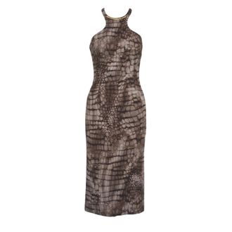 Elisabetta Franchi Femme, Robes, Brun, Taille: 38 FR Ab89161E2-644 Midi Dress