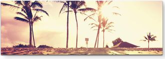 Paul Sinus Art Leinwandbilder | Bilder Leinwand 150x50cm Tropischer Strand mit Palmen