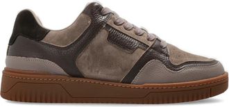 AllSaints Homme, Chaussures, Brun, Taille: 42 EU Regan Plus Baskets