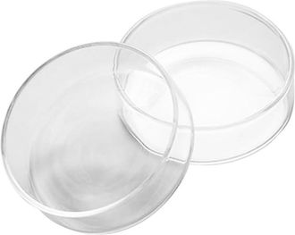 NUOBESTY Kleiner Glasplatte Dessertteller aus Glas Runder Servierteller f&uuml;r Salate und Kuchen Eleganter Haushalts Salatteller f&uuml;r Partys und Familienfeiern