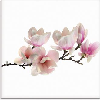 Artland ARTland Wanddeko Glasbilder Wandbild Glas Bild einteilig Quadratisch Natur Asien Botanik Blumen Blüten Magnolie Rosa S6DR