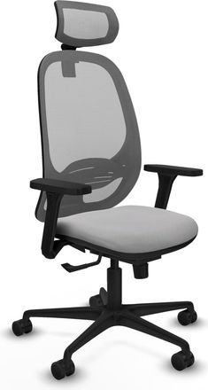 Piqueras y Crespo Schreibtischstuhl, zylindrisch, mit 3D-Armlehnen, h&ouml;henverstellbarer Lendenwirbelst&uuml;tze und Kopfteil, h&ouml;henverstellbar und neigbar, Grau/Hellgrau